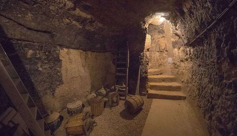 Visit to the 16th century winery+ tasting of 3 wines – Bodegas Lecea